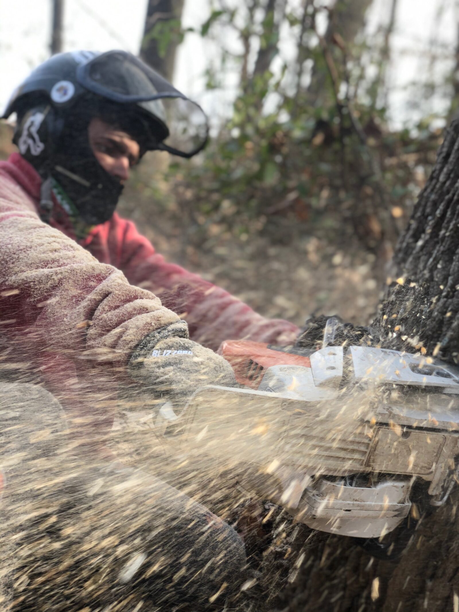 24/7 Emergency Tree Service - Removal & Cleanup | Reaching Higher