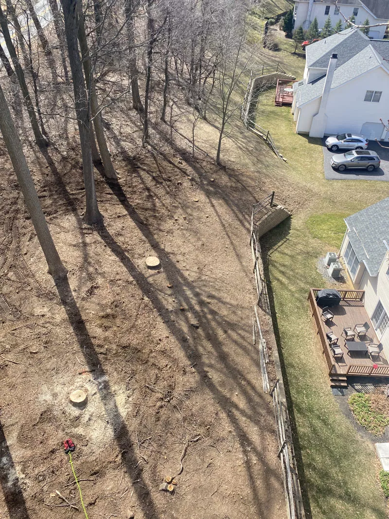 Land Clearing Services - Up to 2 Acres | Reaching Higher